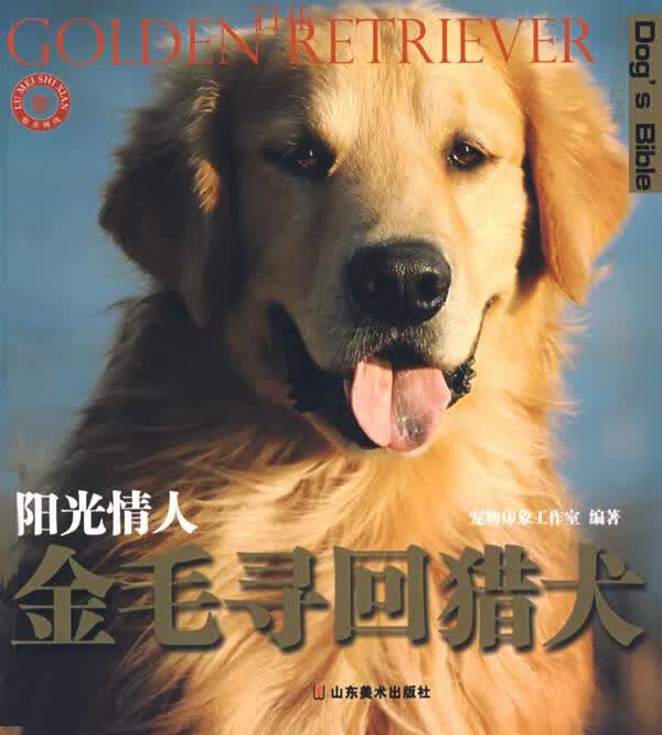 世界名犬驯养宝典－阳光情人 金毛寻回猎犬