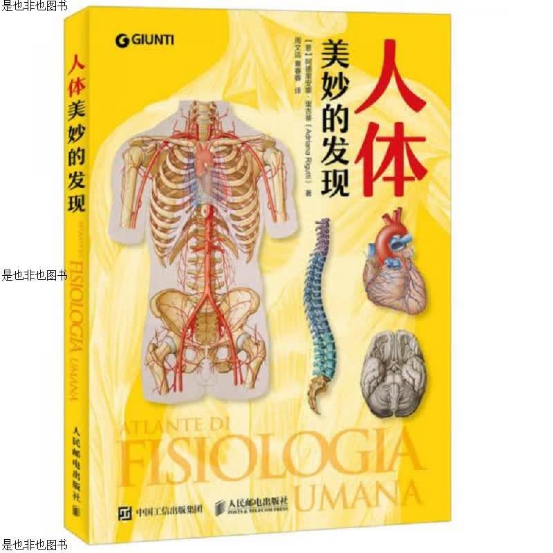 人体 美妙的发现