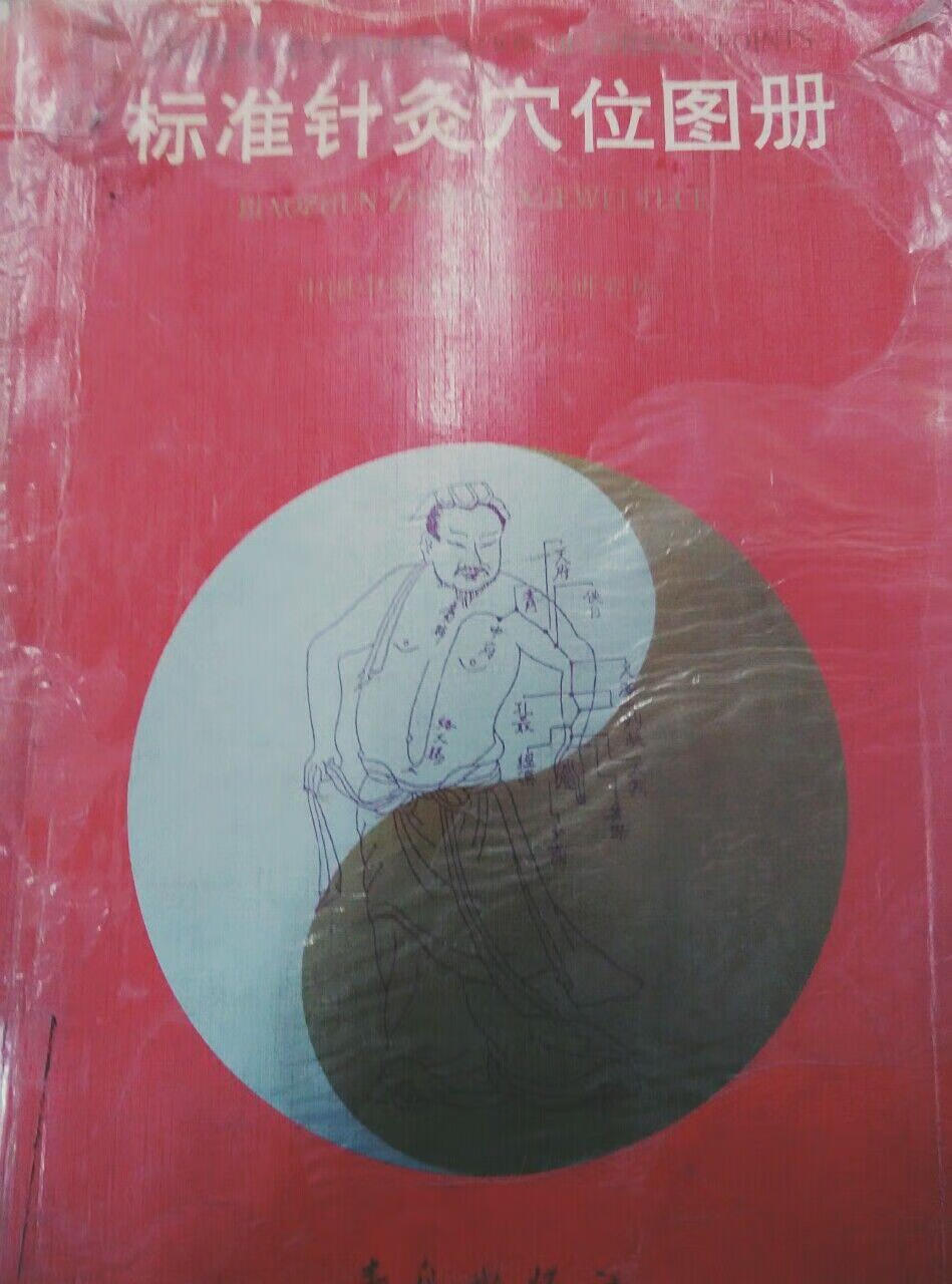 标准针灸穴位图册 孙永显 编【书】