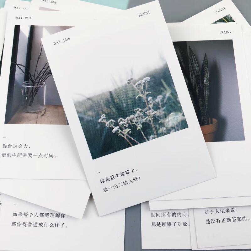 遇见未来的你 30张文艺小清新卡片 暖心文字配图片明信片 30张 明天会更好