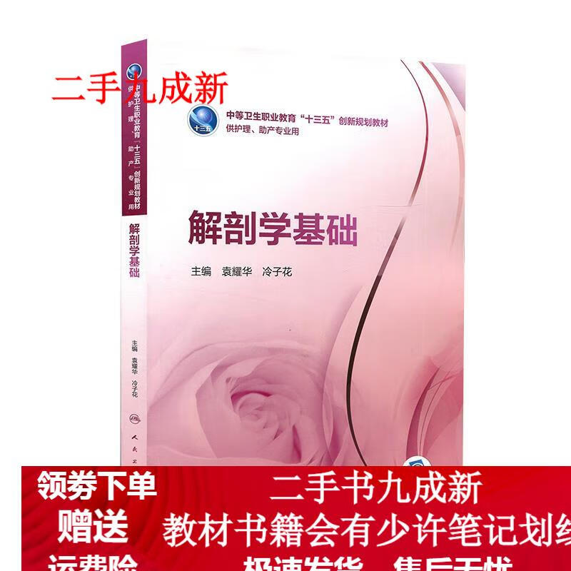 解剖学基础