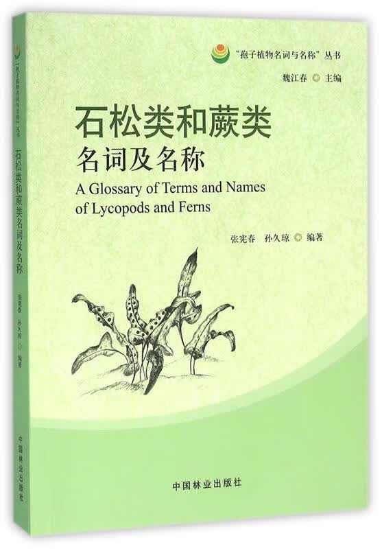 石松类和蕨类名词及名称
