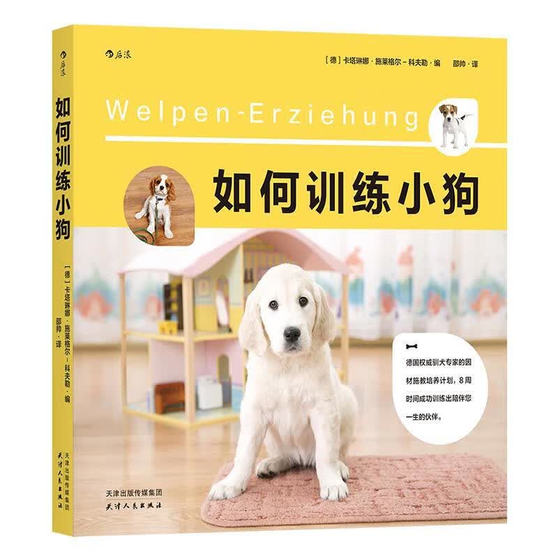 如何训练小狗