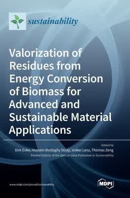 Valorization of Residues from Energy Conversion of Biomass for Advanced and Sustainable