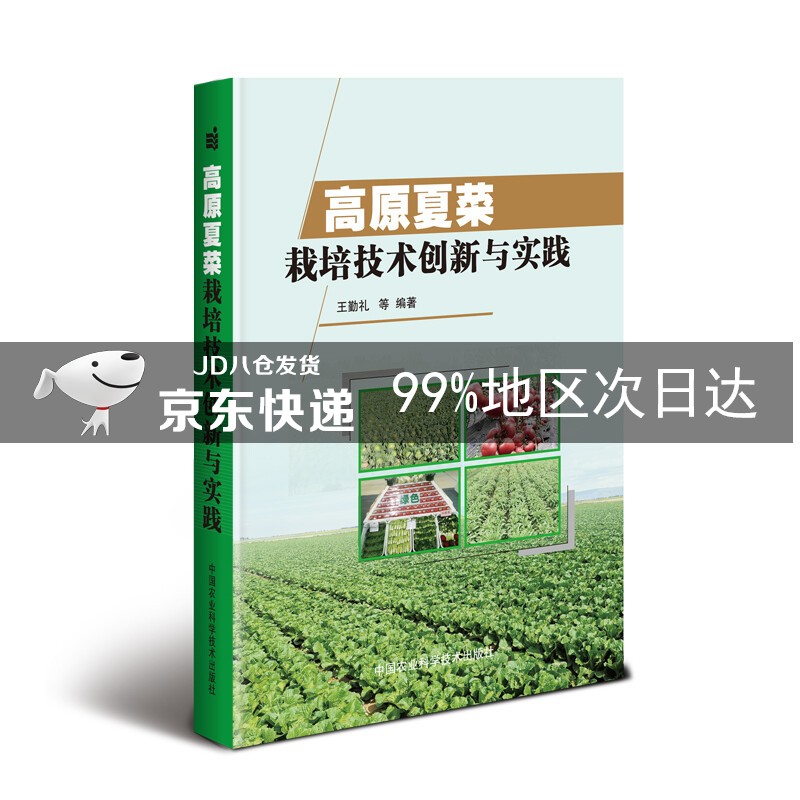 高原夏菜栽培技术创新与实践