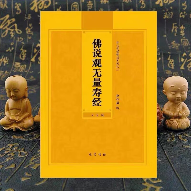 佛说观无量寿经注音版诵读本大字简体32开观无量寿经结缘