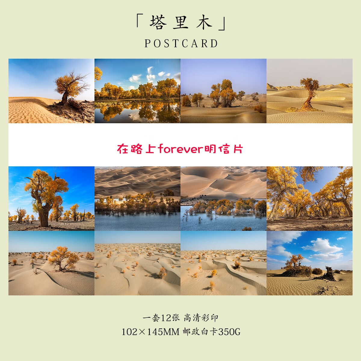 新疆/巴州/轮台/塔里木胡杨林/塔克拉玛干沙漠/风光明信片 12张120分邮票(不含明信片)