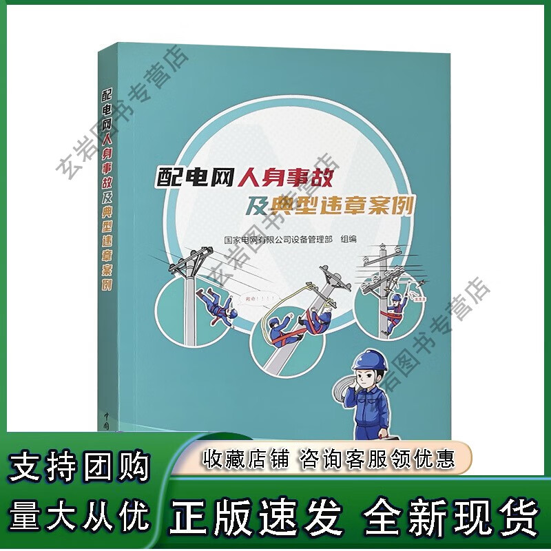 n配电网人身事故及典型违章案例