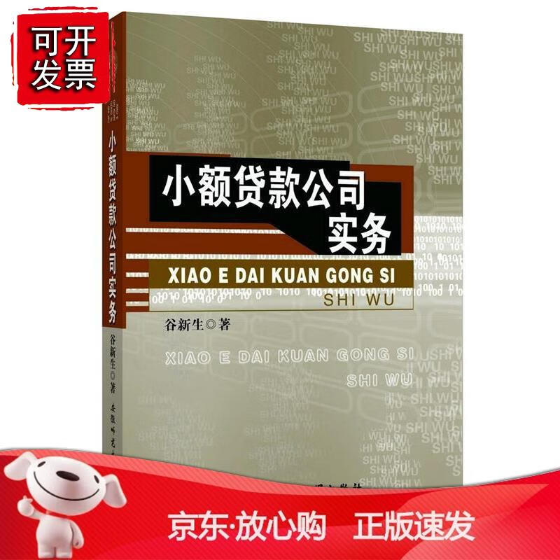 小额贷款公司实务