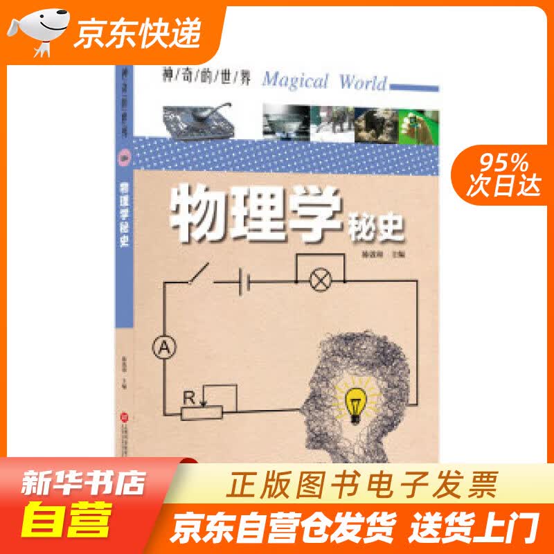 神奇的世界——物理学秘史（全彩图解版） 陈敦和 著 上海科学技术文献出版社 籍