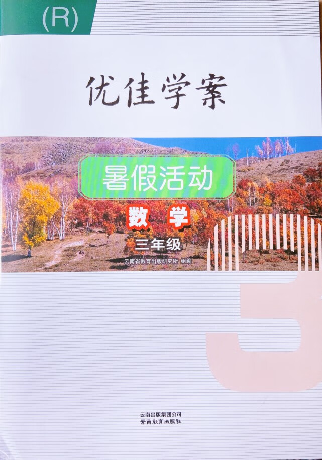 暑假活动2021小学三年级数学优佳学案·暑假活动/云南教育出版社