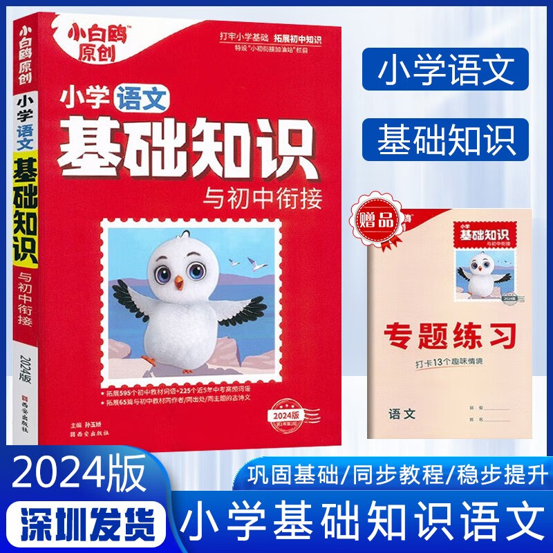 2024版小白鸥小学基础知识与初中衔接通用版小升初总复习强化训练 语文