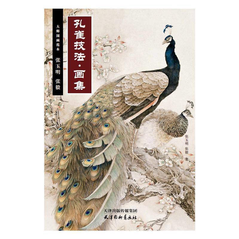 孔雀技法画集绘画  图书