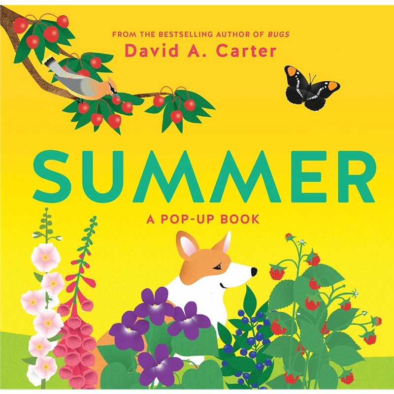 Summer : A Pop-up Book (Seasons Pop-up)