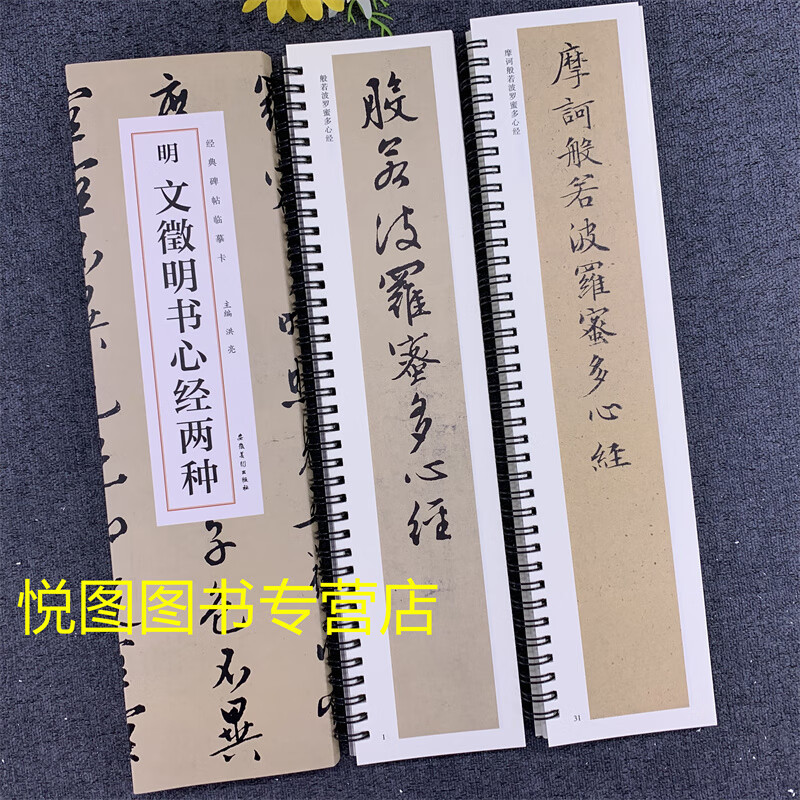 近距离临摹字卡文徵明小楷碑帖文征明行草书字帖文徵明莲社图记盘古叙琴赋草堂十志滕王阁序离经落花诗册行草 文徵明书心经两种