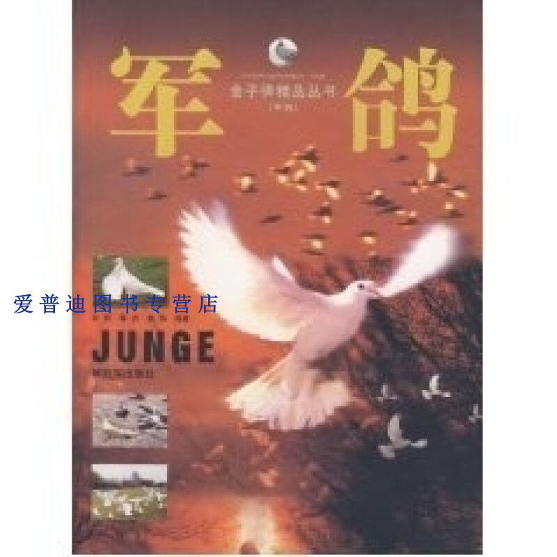 中国军鸽9787506543859【好书，下单速发】