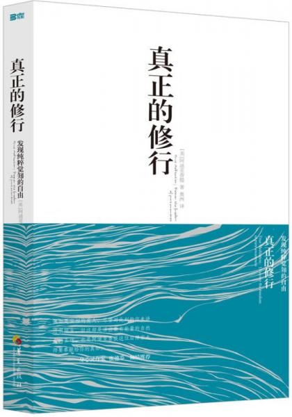真正的修行 宗教 (美)阿迪亚香提(adyashanti) 著;奥西 译 新华