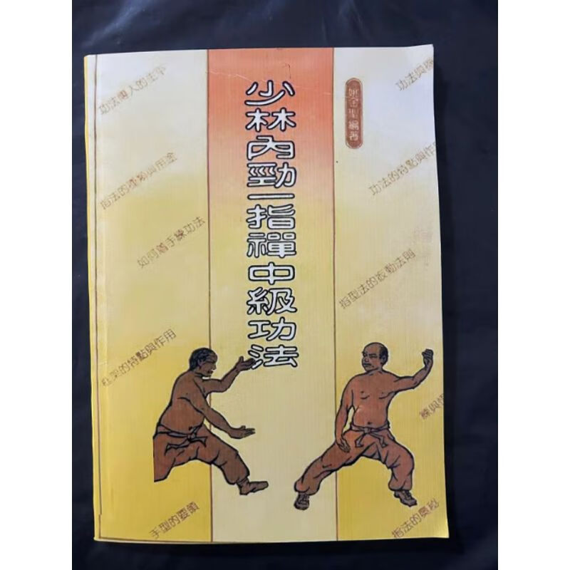 少林内劲一指禅中级功法 气功 五类扳指法 经典武学武功书籍 现货