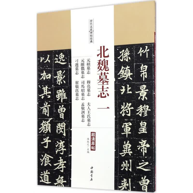 北魏墓志(1)元桢墓志 穆亮墓志 夫人王氏墓志 元显僘墓志 司马绍墓志 孟敬训墓志 刁遵墓志 崔敬邕墓志