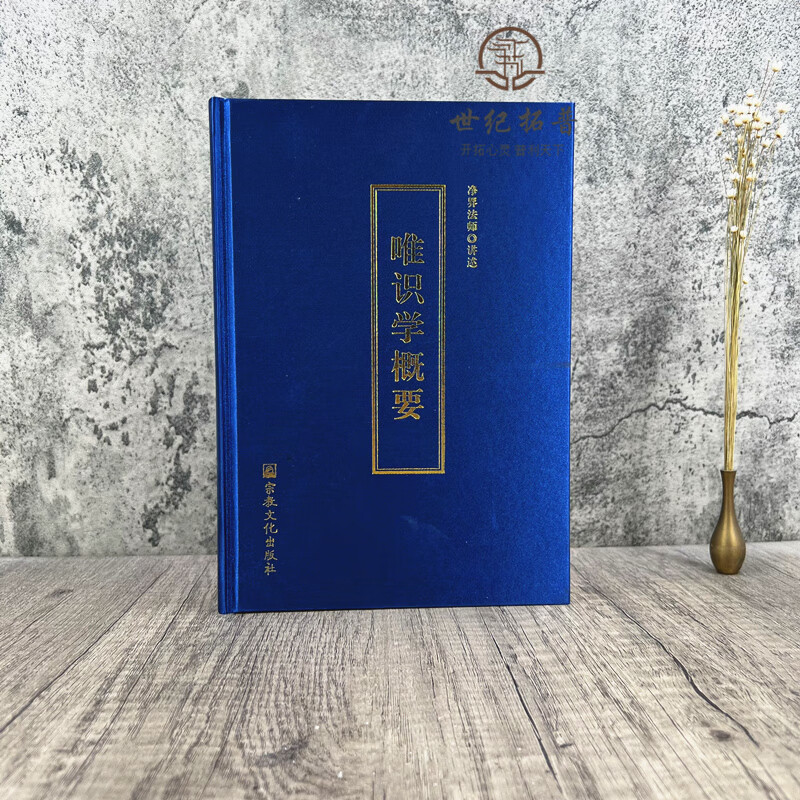 唯识学概要 精装硬皮净界法师讲述 宗教文化出版社466页