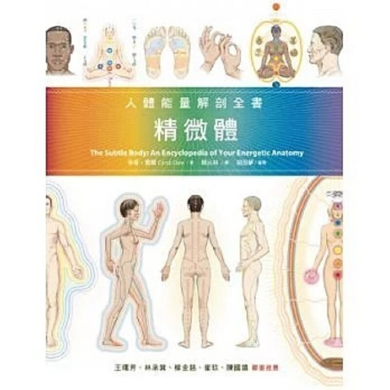 精微体 人体能量解剖全书 Cyndi Dale / 辛蒂．戴尔 繁体中文