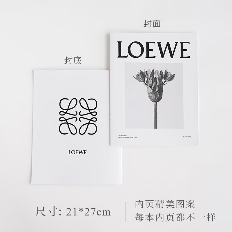 ins封面人物杂志拍照道具装饰摆件美食服装摄影搭配摆拍背景 LOEWE植物1 杂志一本 27x21cm