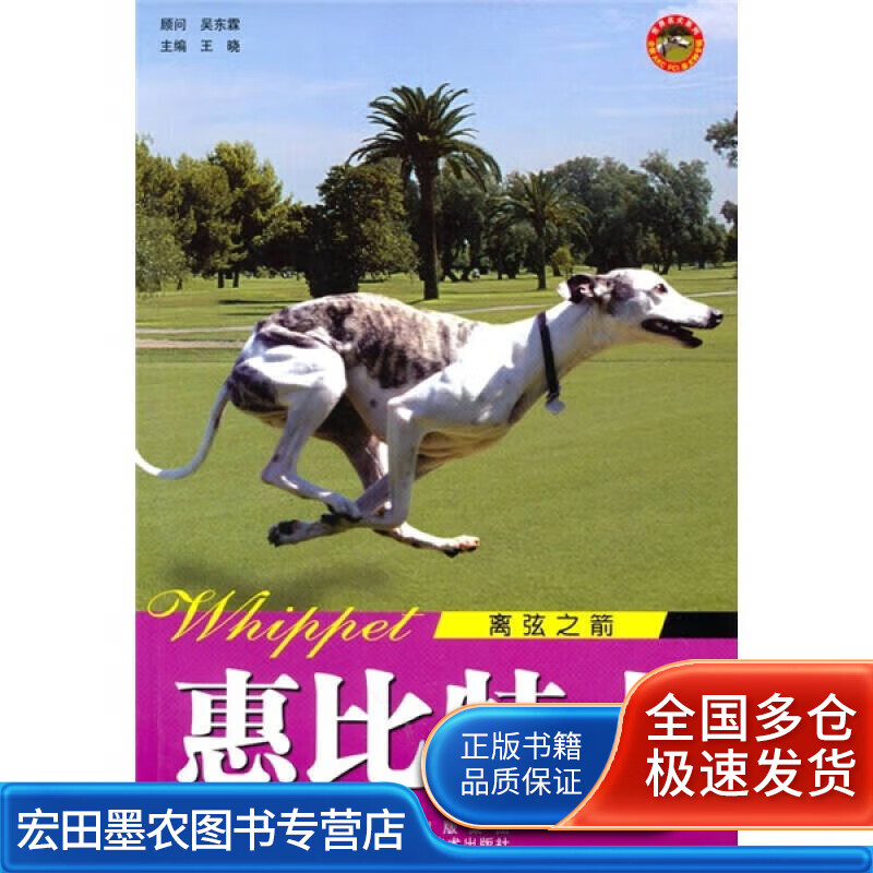 世界名犬 惠比特犬（离弦之箭）【好书】