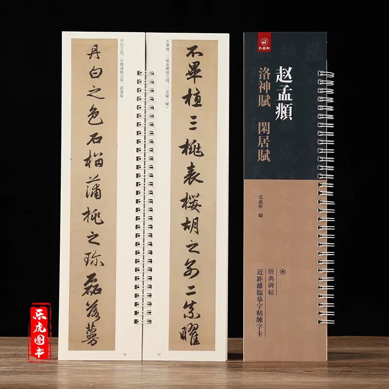 赵孟頫洛神赋 闲居赋 弘蕴轩编 赵孟俯行书字帖 经典碑帖近距离临帖摹字练习卡 成人学生毛笔书法练字碑帖95页