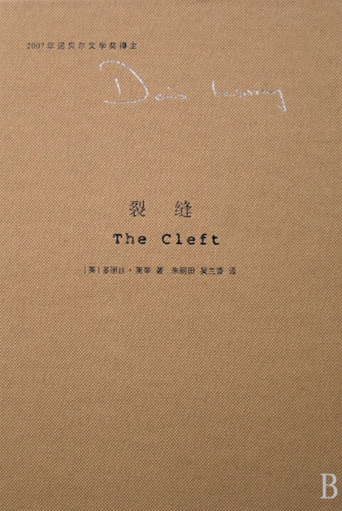 裂缝(精)