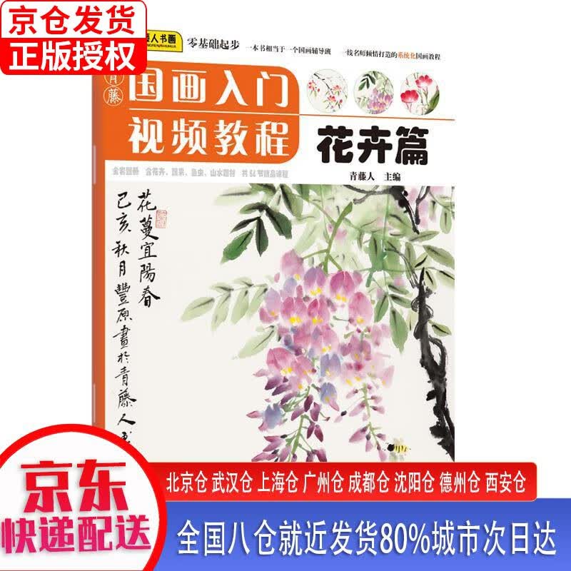 【现货】青藤国画入门视频教程 花卉篇
