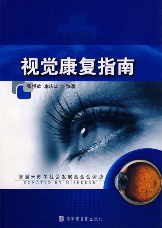 【现货】视觉康复指南
