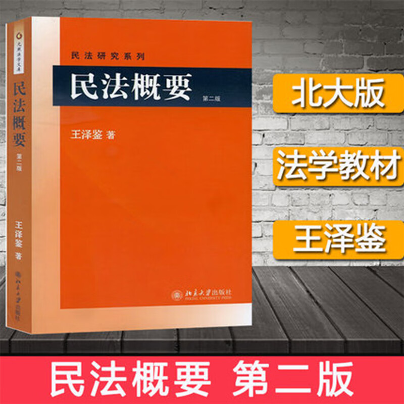 民法概要第二版王泽鉴民法研究系列民法典司法解释民法教学考试办案常用书民法法条学实务案头
