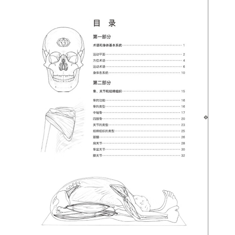 瑜伽解剖涂色书 凯莉 索洛威 著 养生保健