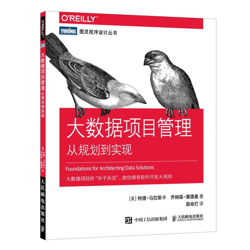 大数据项目管理：从规划到实现9787115457363