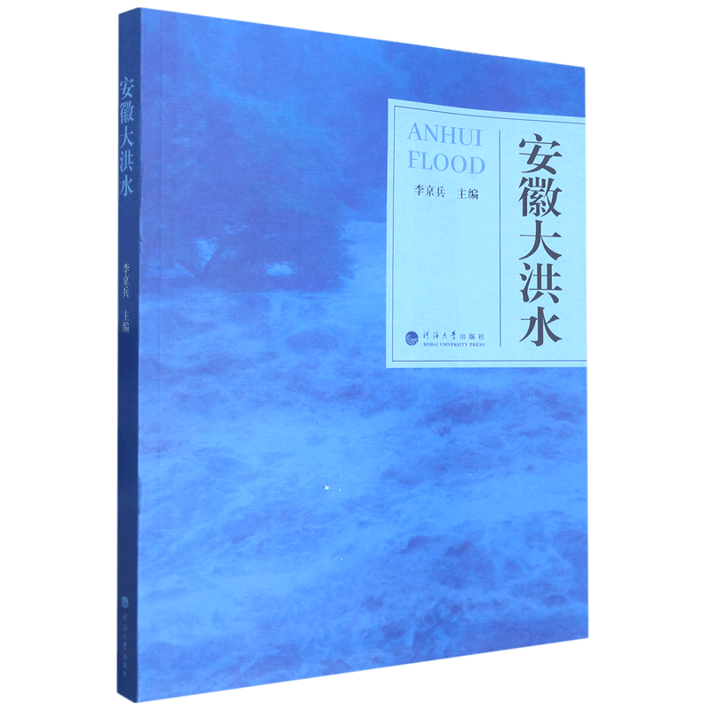 安徽大洪水