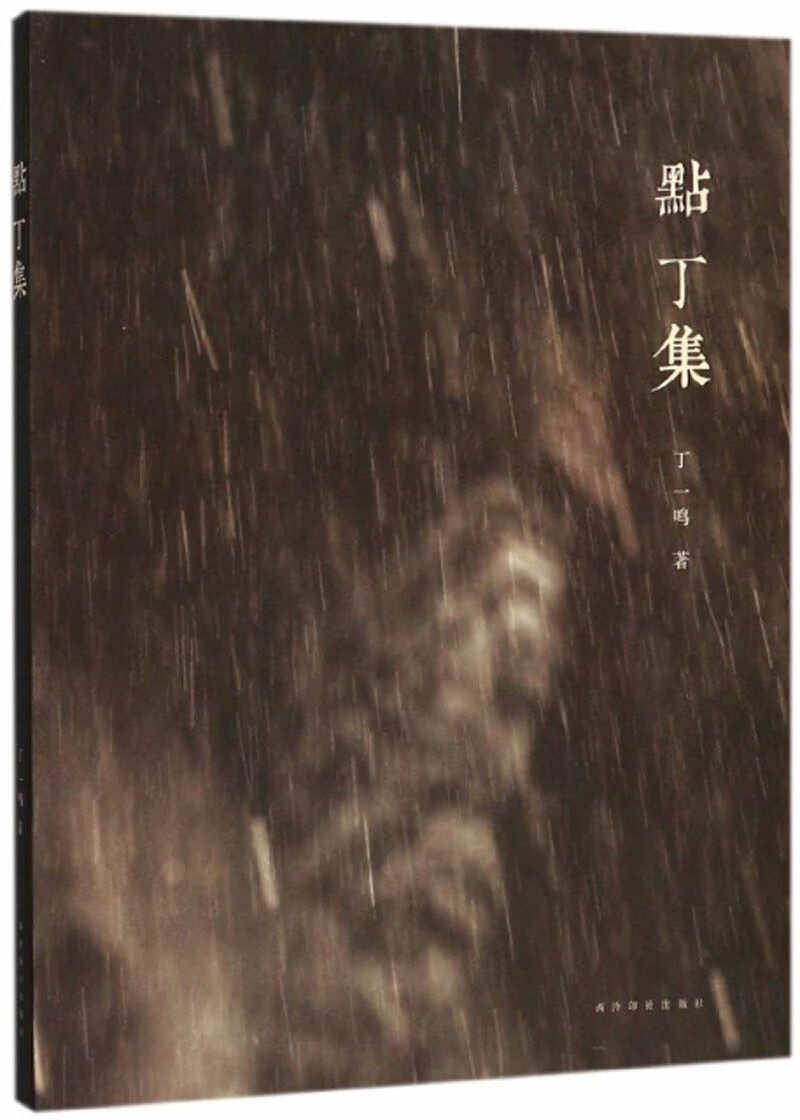 点丁集【好书】