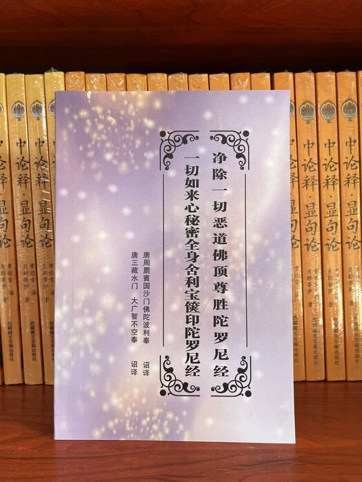 净除一切恶道佛顶尊胜陀罗尼经
