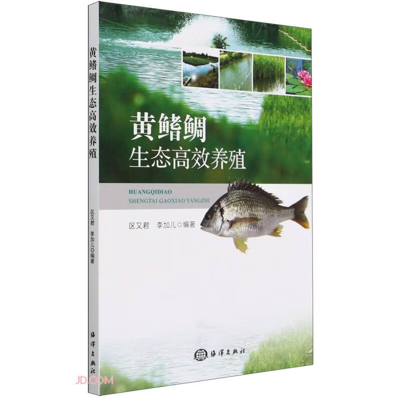 黄鳍鲷生态高效养殖