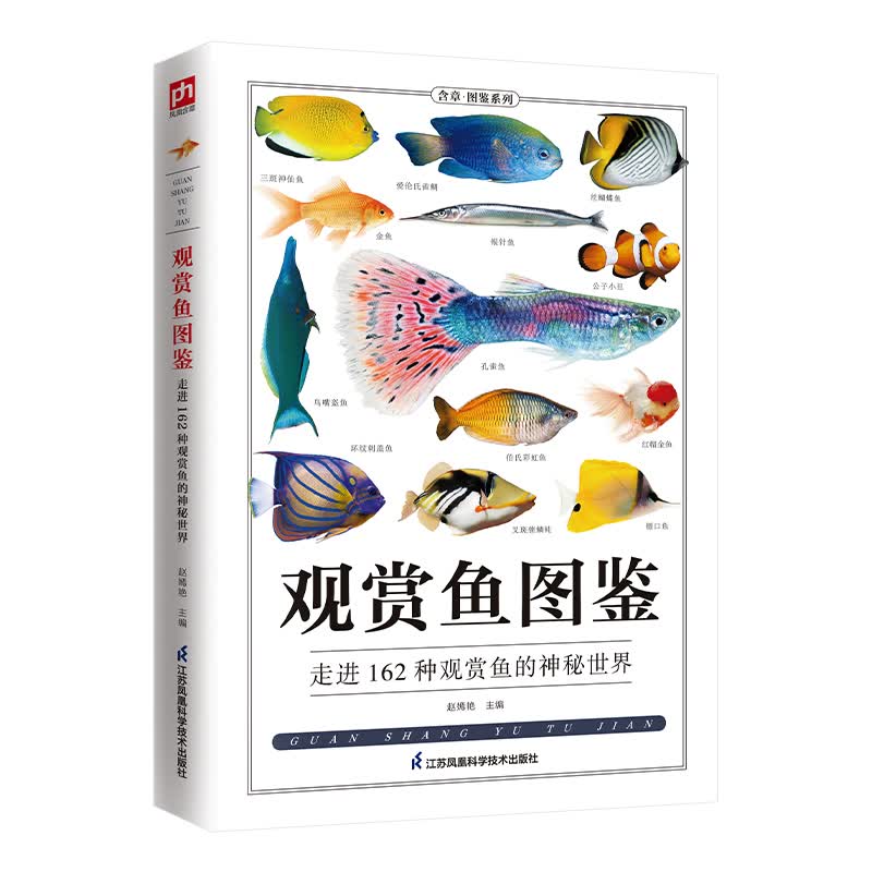 观赏鱼图鉴 正货
