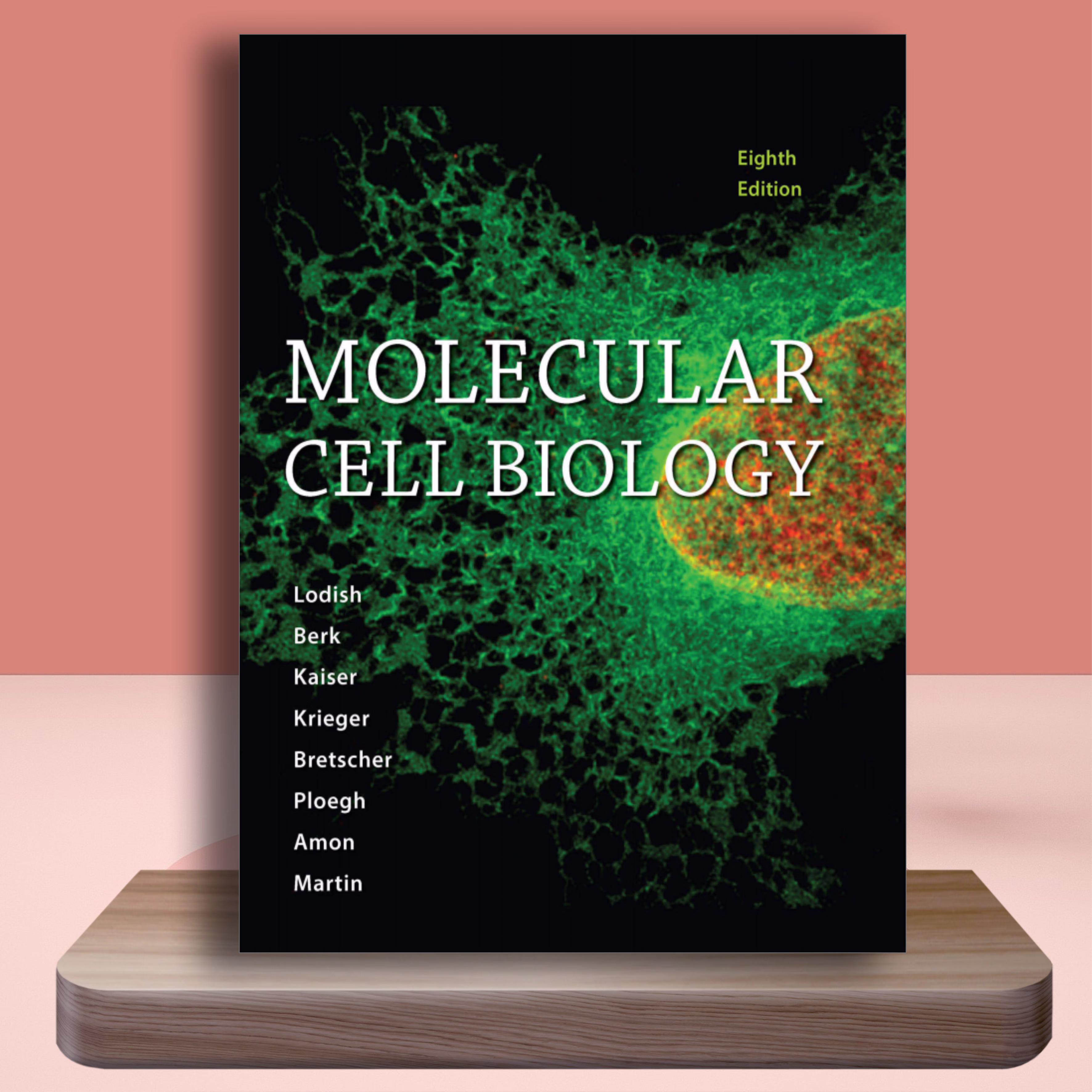 Molecular Cell Biology 全彩英文2016 8TH PDF电子版