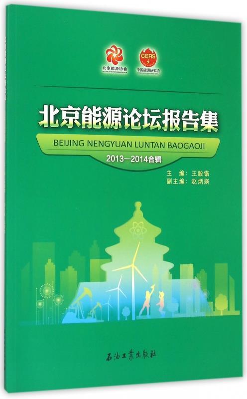 北京能源论坛报告集
