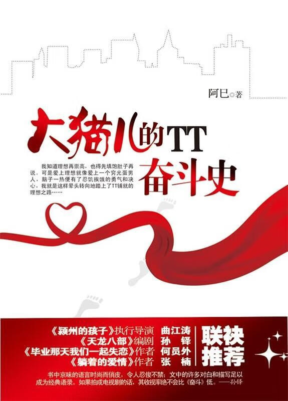 大猫儿的TT奋斗史