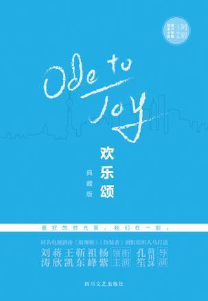 欢乐颂：刘涛、王凯主演电视剧原著小说9787541142659