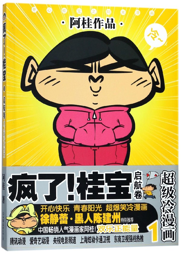 疯了桂宝(1启航卷)