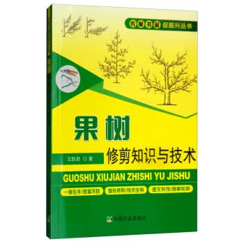 双语阅读中的眼动研究 李馨【书】