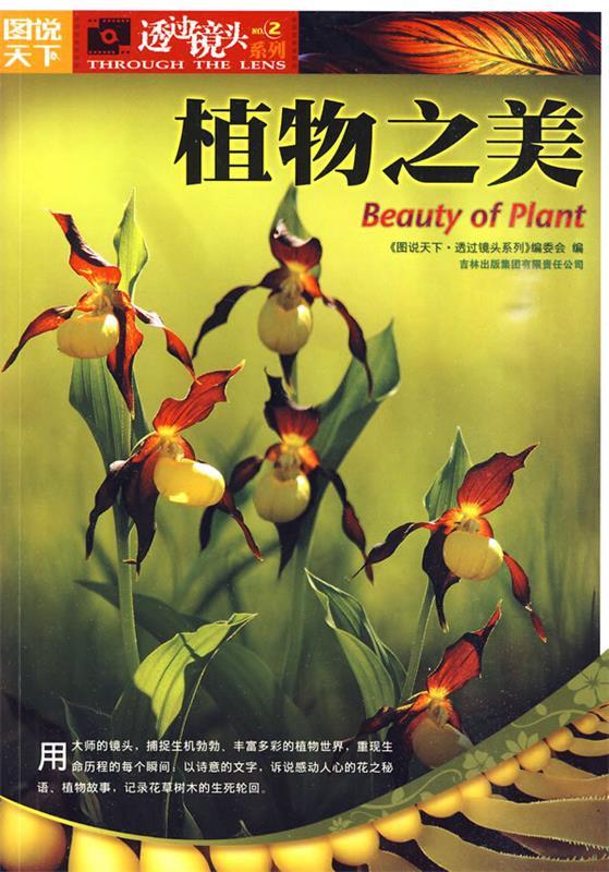 图说天下透过镜头2-植物之美