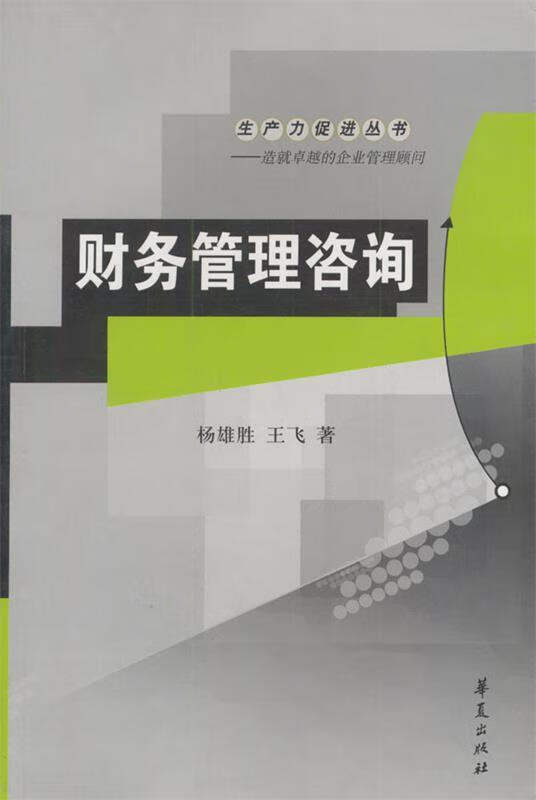 财务管理咨询 杨雄胜,王飞 著