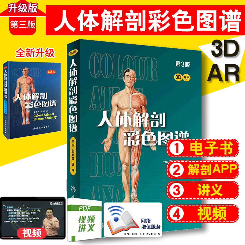 人体解剖彩色图谱 第3三版 人卫版彩色学第3版教材书局部系统解刨学奈特书籍全身正常医学实用彩色学动态