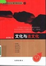 文化与法文化9787503644290