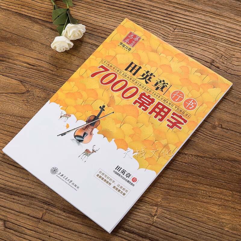 田英章书行书7000常用字练字帖字帖硬笔书法钢笔字帖行书速成